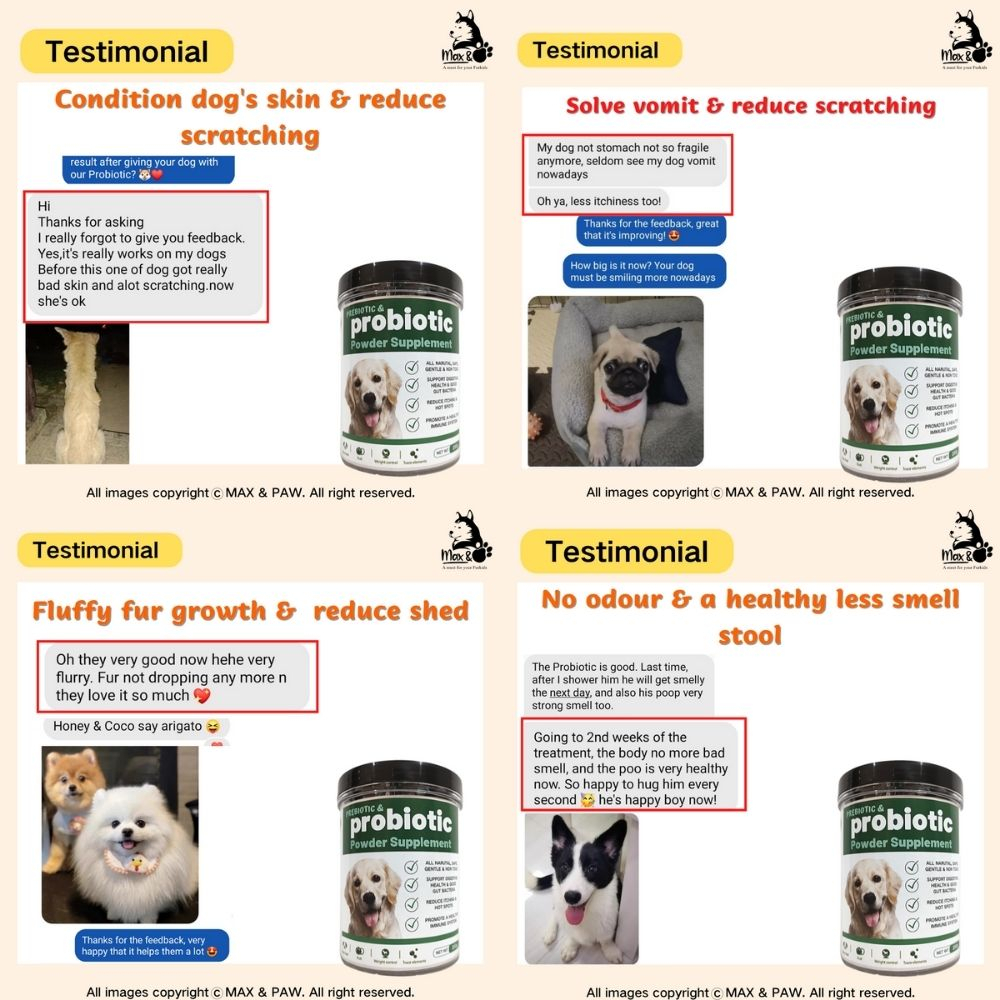 Max & Paw Probiotic Prebiotics & Probiotic Pet Supplement Probiotic Max ...