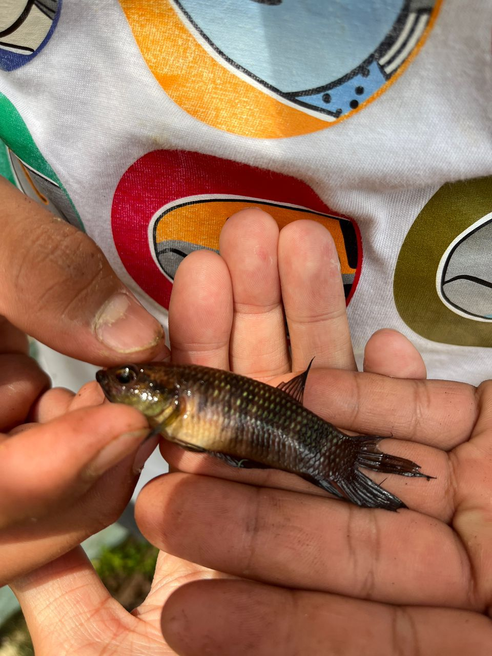 Tanago Micro Fishing Hook SEA (Mata Kail) | Shopee Malaysia