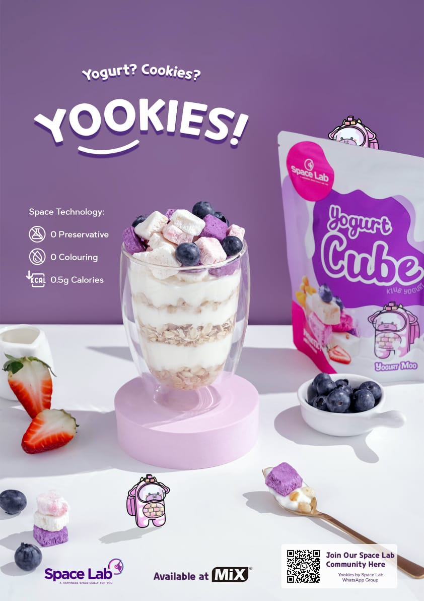 Space Lab 冻干乳酪块 26g Freeze Dried Blueberry Strawberry Mango Yogurt Cube ...