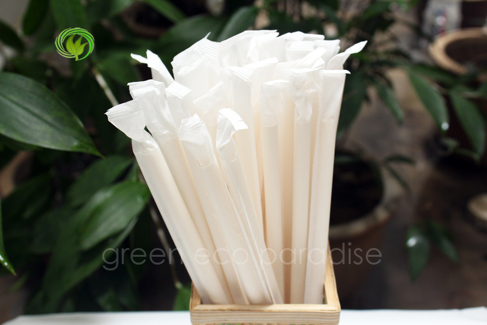 6mm Paper Straw with Wrapper 300 pieces White Black Thick Disposable ...
