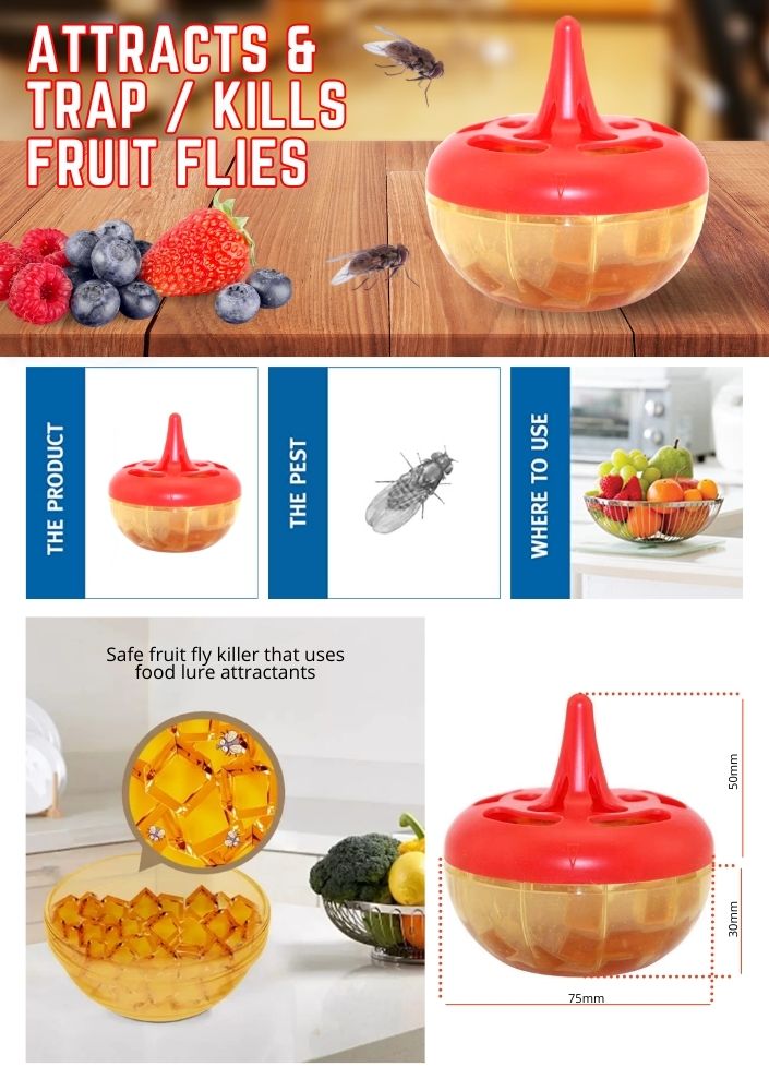 Fruit Fly Traps Lure Attractant Flying Insect Sticky Killer Catcher ...