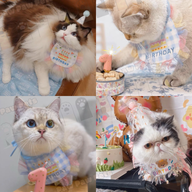Pet Cat & Dog Korean & Basic Happy Birthday Costume Set | Pakaian ...