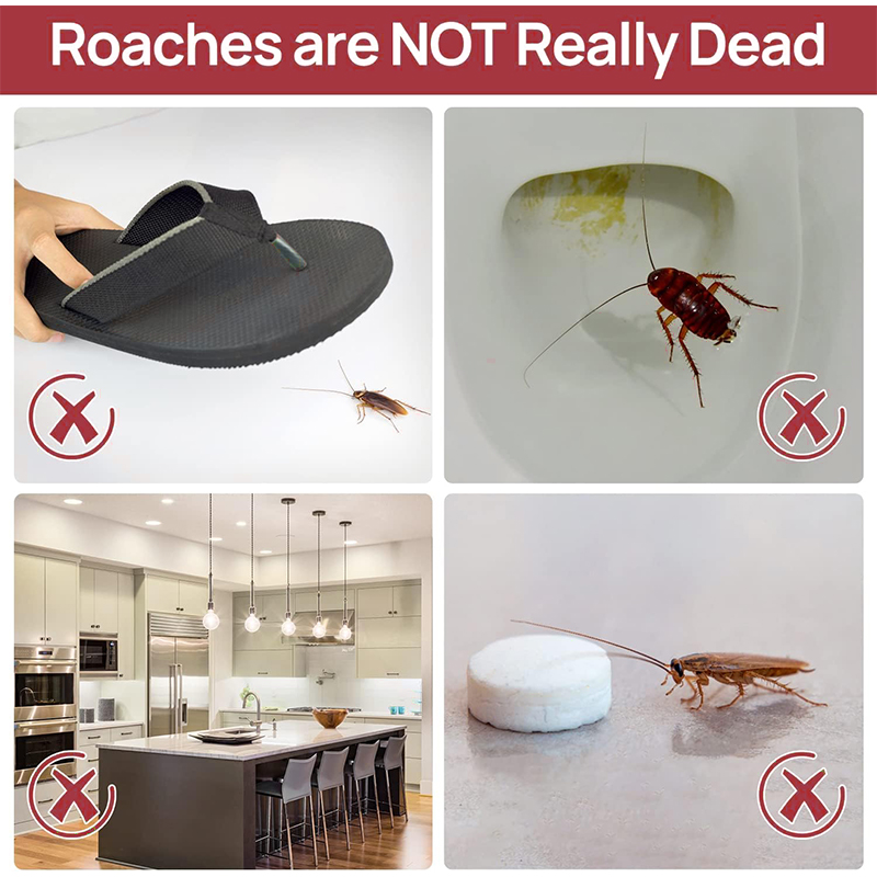 10pcs/Box Cockroach And Lizard Sticky Glue Trap Cockroach Poison Killer ...