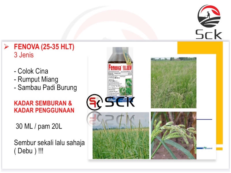 Fenova Advansia 10.8EW 250ml(Racun Rumpai Padi/Colok Cina) | Shopee ...