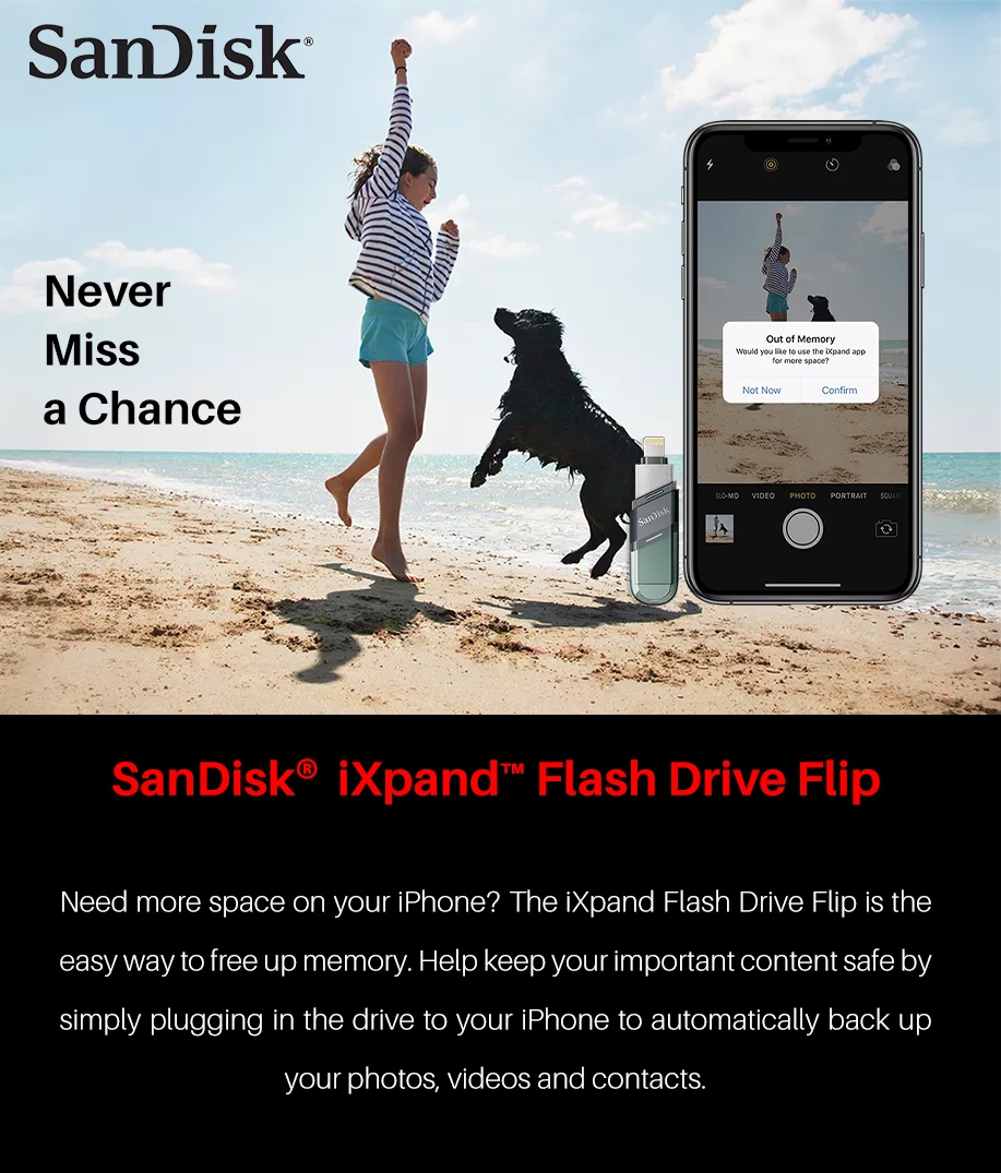 Sandisk iXpand Flip Flash Drive Flip OTG USB for iPhone & iPad (32GB ...