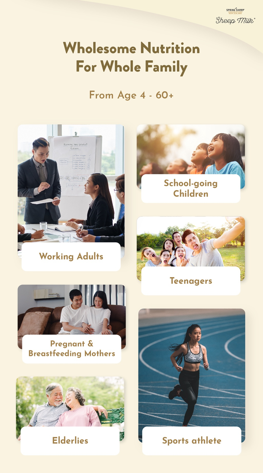 Spring Sheep Premium Sheep Milk Probiotic Family Formula 700g (EXP: 30 ...