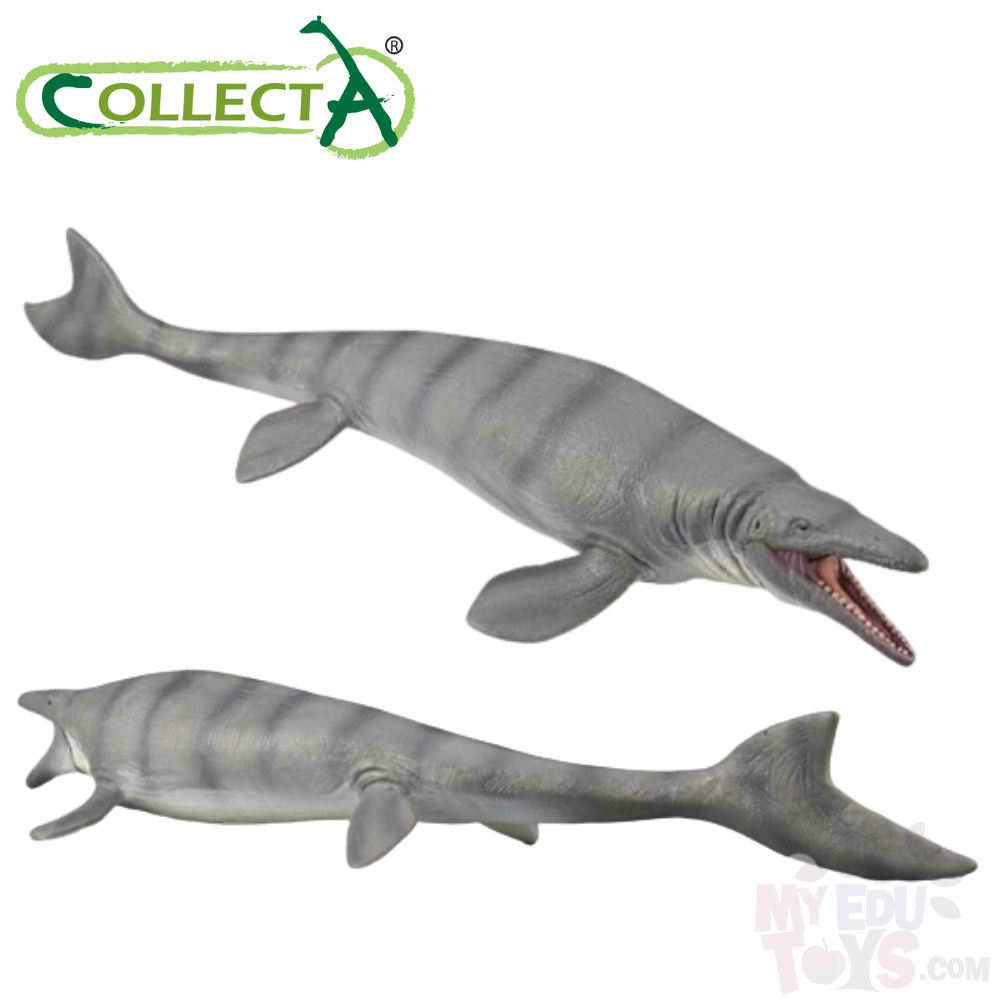 Mosasaurus with Movable Jaw Deluxe 1:40 Scale - Collecta 88975 ...