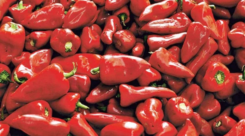 Don Celorrio - Roasted Piquillo Peppers (Pimento Peppers) | Shopee Malaysia