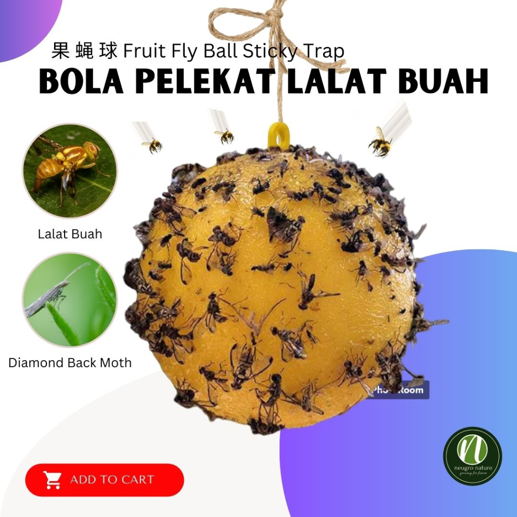 Sticky Fruit Fly Trap Ball/ Adhesive Ball/ Bola Pelekat Serangga Lalat ...