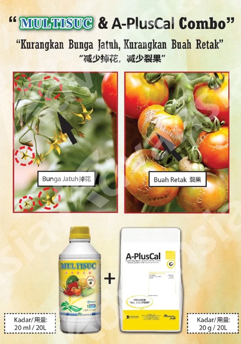 Advansia A-Plus Cal Baja Focus in Calcium with Zinc and Boron (1 KG ...
