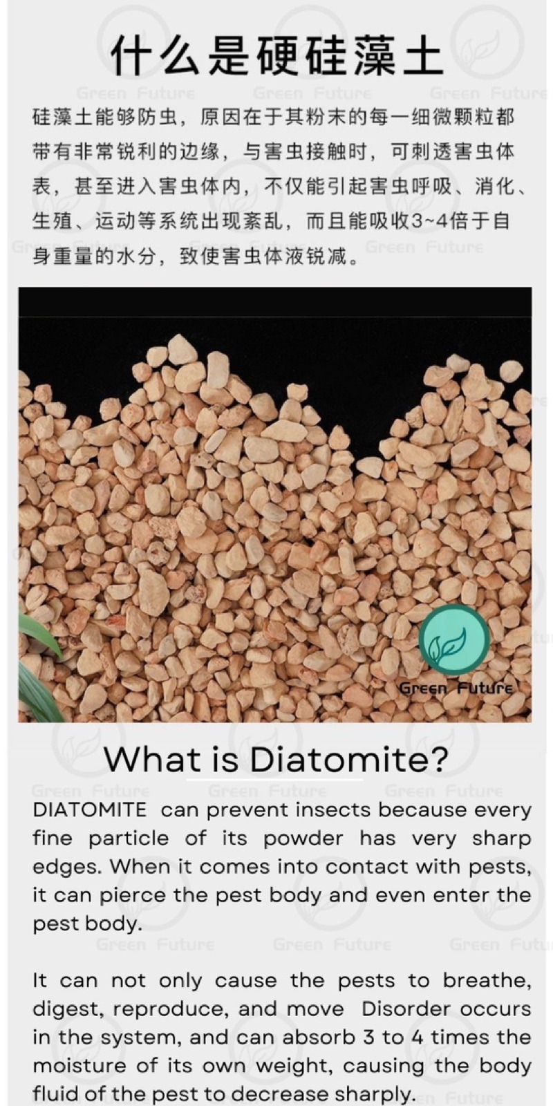 Diatomite SOIL Succulent Cactus Soil 硅藻土 多肉泥土 Granular soil 多肉铺面石 多肉石头 ...