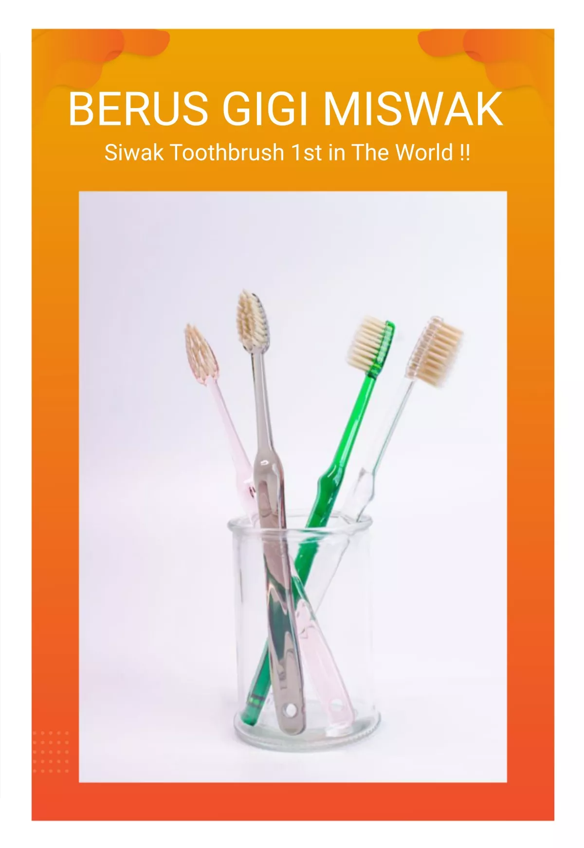 🔥HOT🔥 Berus Gigi Miswak Kayu Sugi (Al-Abyad) Berus Gigi Siwak dan ...