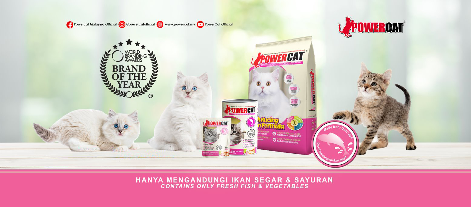 Powercat Kitten Formula Dry Food (420g) | Shopee Malaysia
