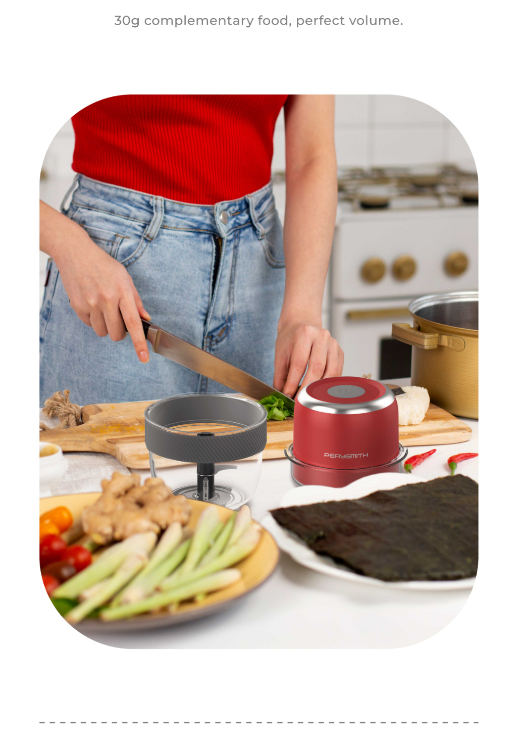 PerySmith Mini Food Chopper EasyCooking Series PS250 | Shopee Malaysia