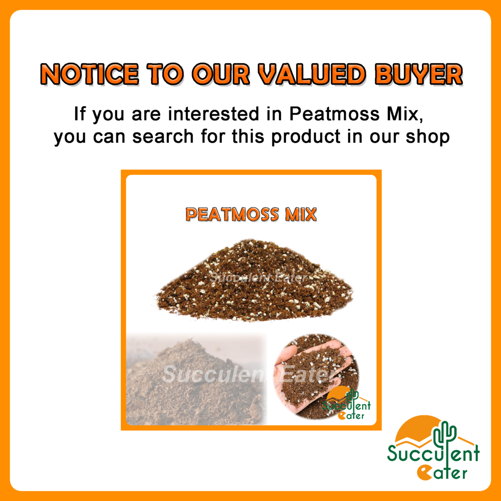 Peatmoss Imported Coarse Grade Peat moss Soil for Seedings Substrate ...