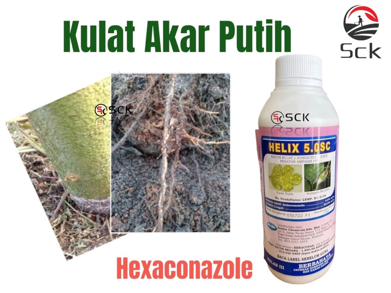 Hexaconazole Hextar Helix 5.0sc 1L/ Racun Hawar daun/Kulat akar putih ...