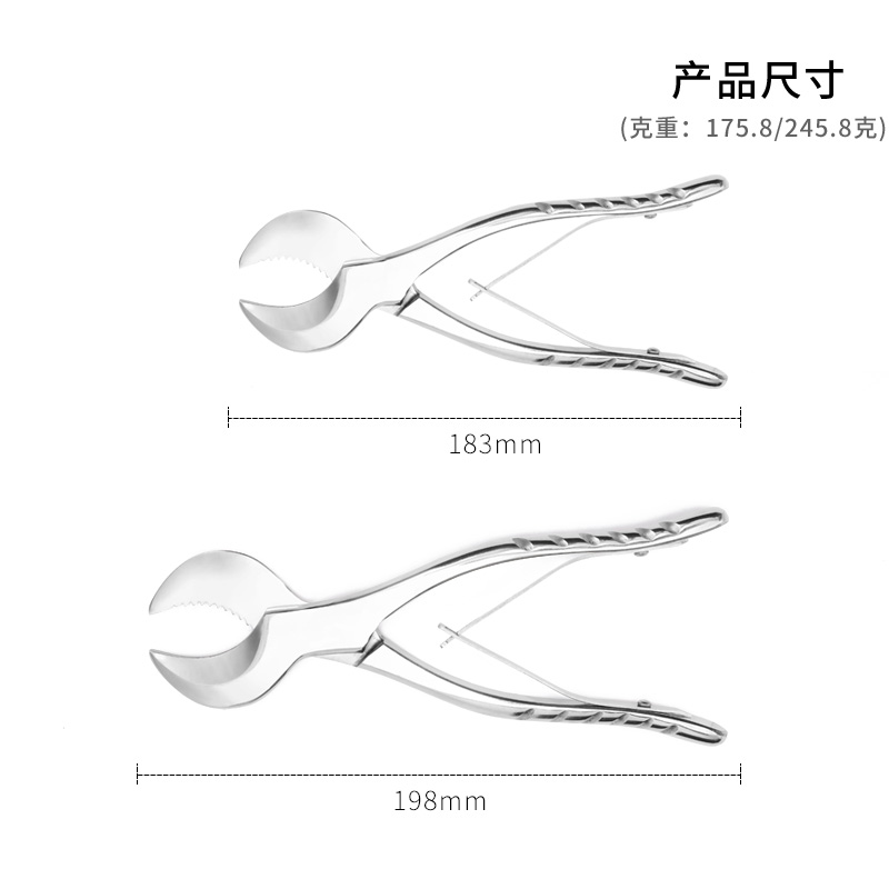 Dental Plaster Cutting Plier Stainless Steel Lab Plaster Scissor ...