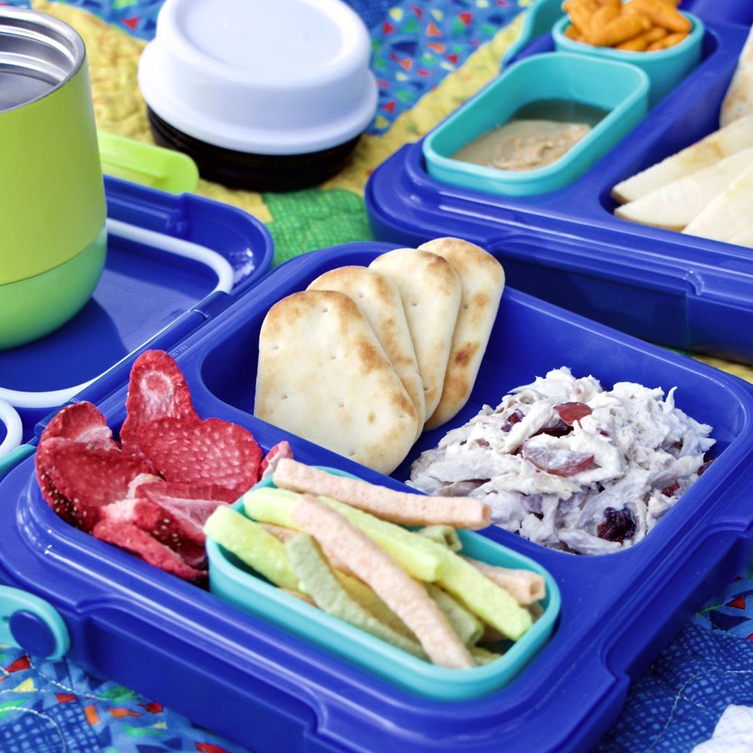 Zoku BPA Free Neat Bento Kid Lunch Box Premium Quality Multi ...