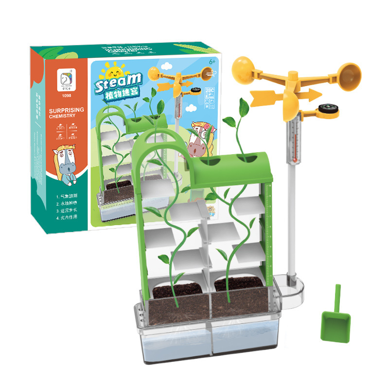 (Ready Stock) DIY Grow Maze Plant Kits stem science experiments plant ...