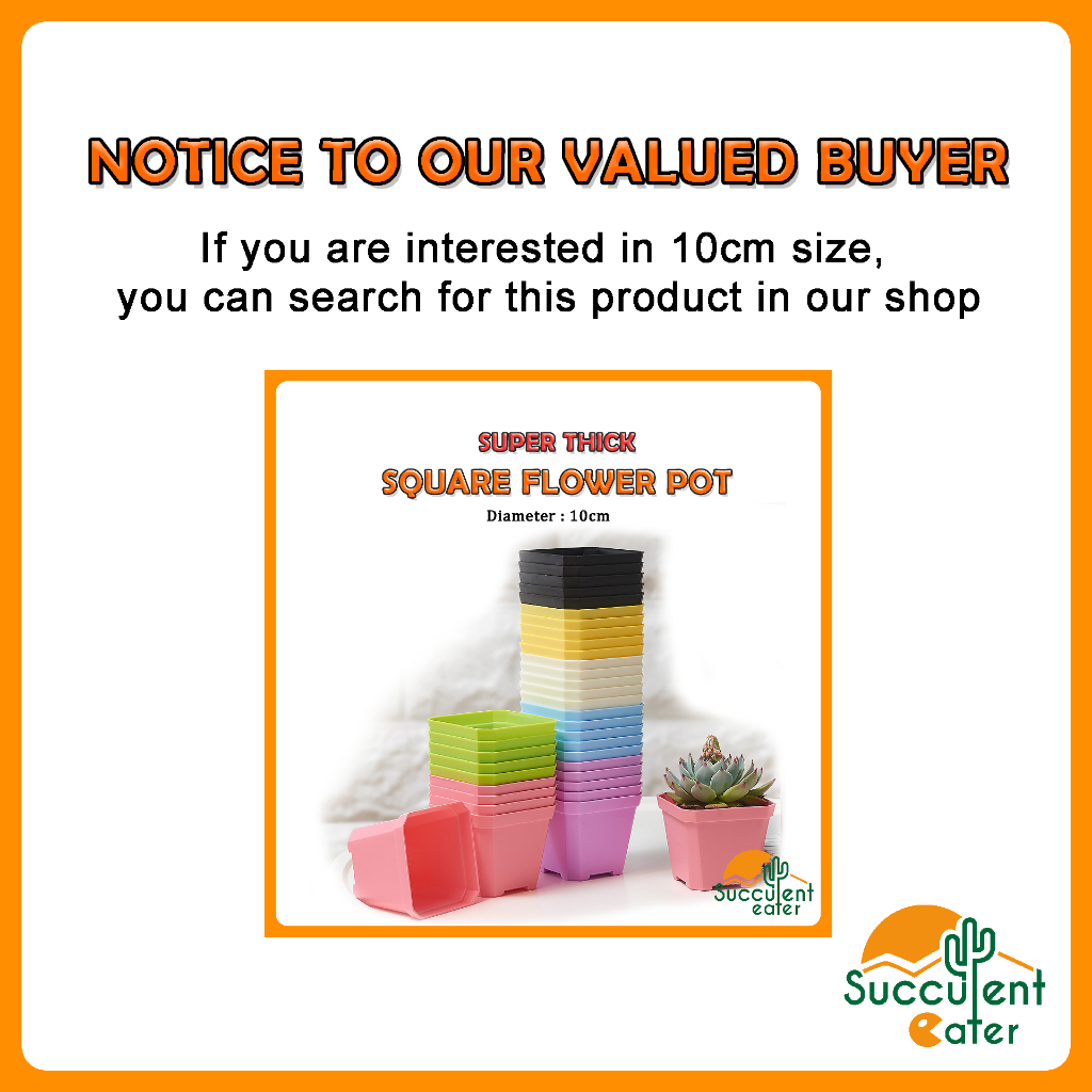 7cm Super Thick Square Colourful Succulent Cactus Plastic Pot Pasu Mini ...