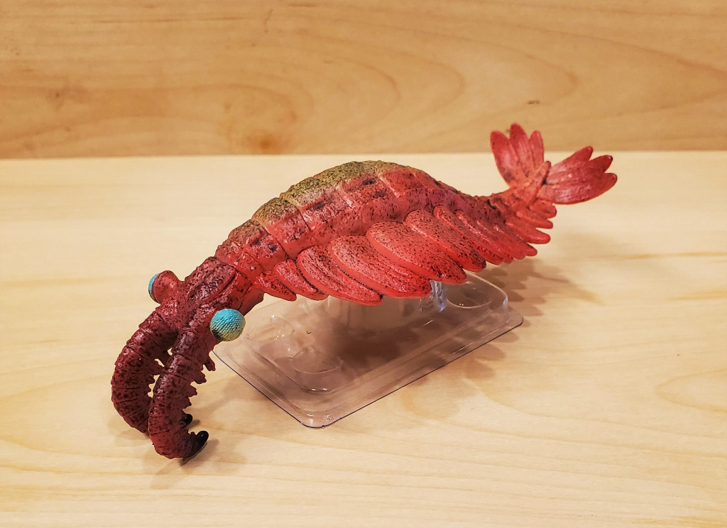 Anomalocaris - Collecta 88977 Prehistoric Sea Marine Animal Action ...