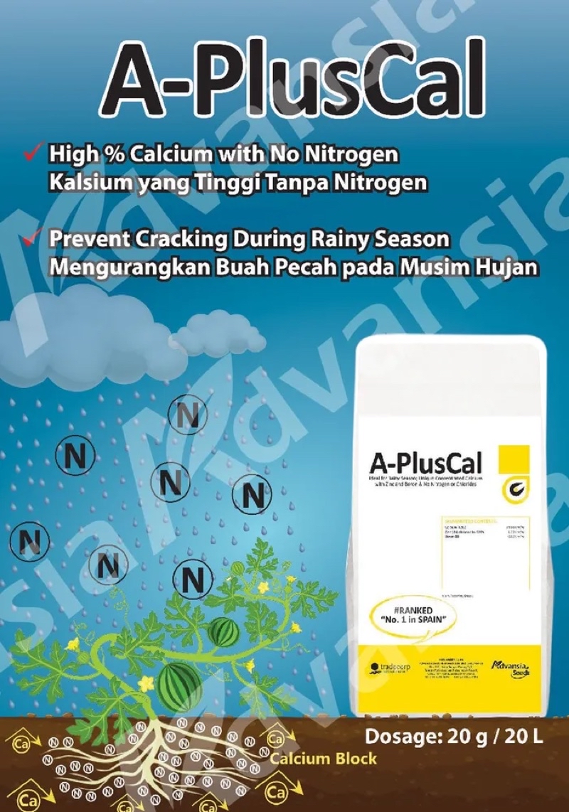 Advansia A-Plus Cal Baja Focus in Calcium with Zinc and Boron (1 KG ...