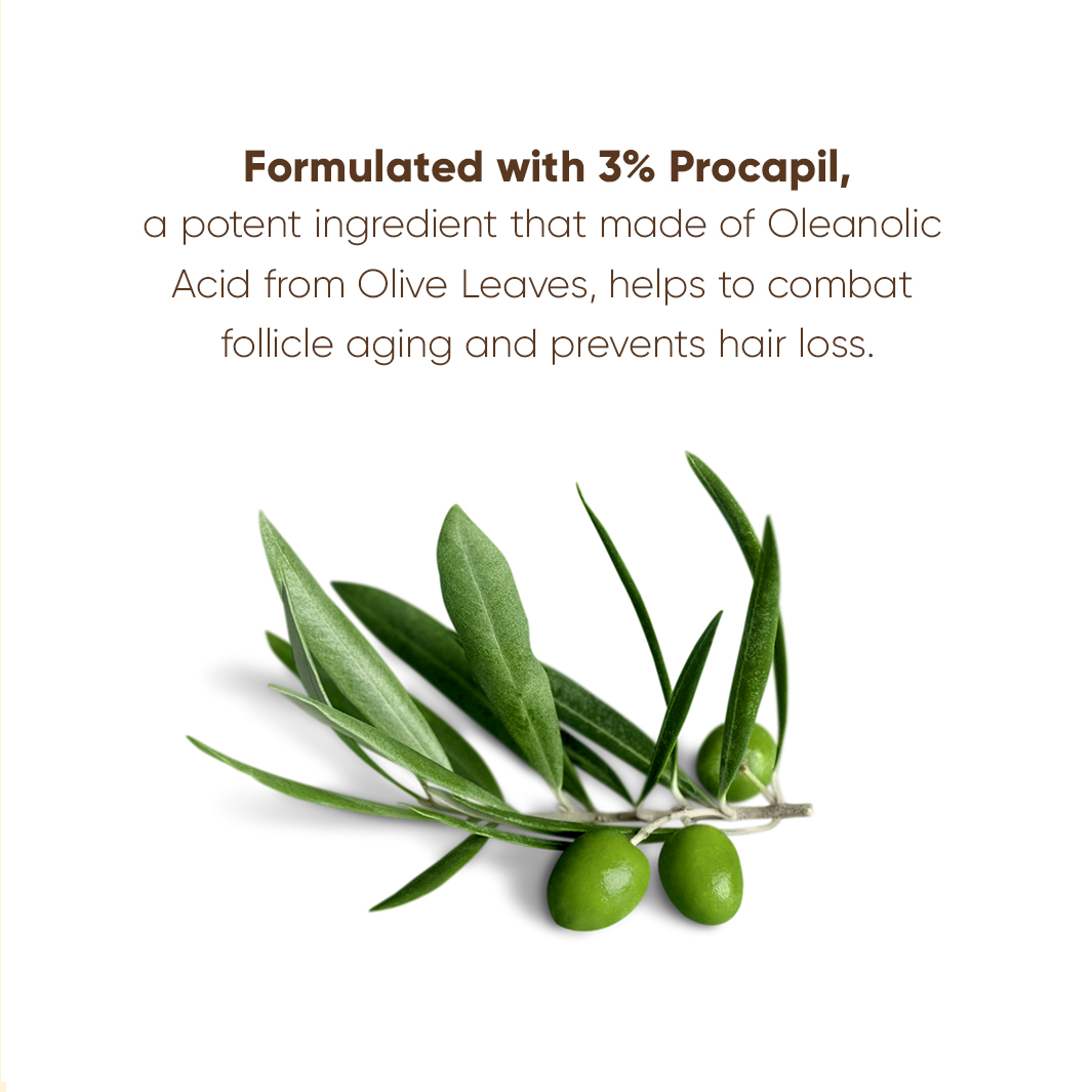 The Olive Tree Hair Growth Boost Set For Hair Growth /Anti Hair Fall ...