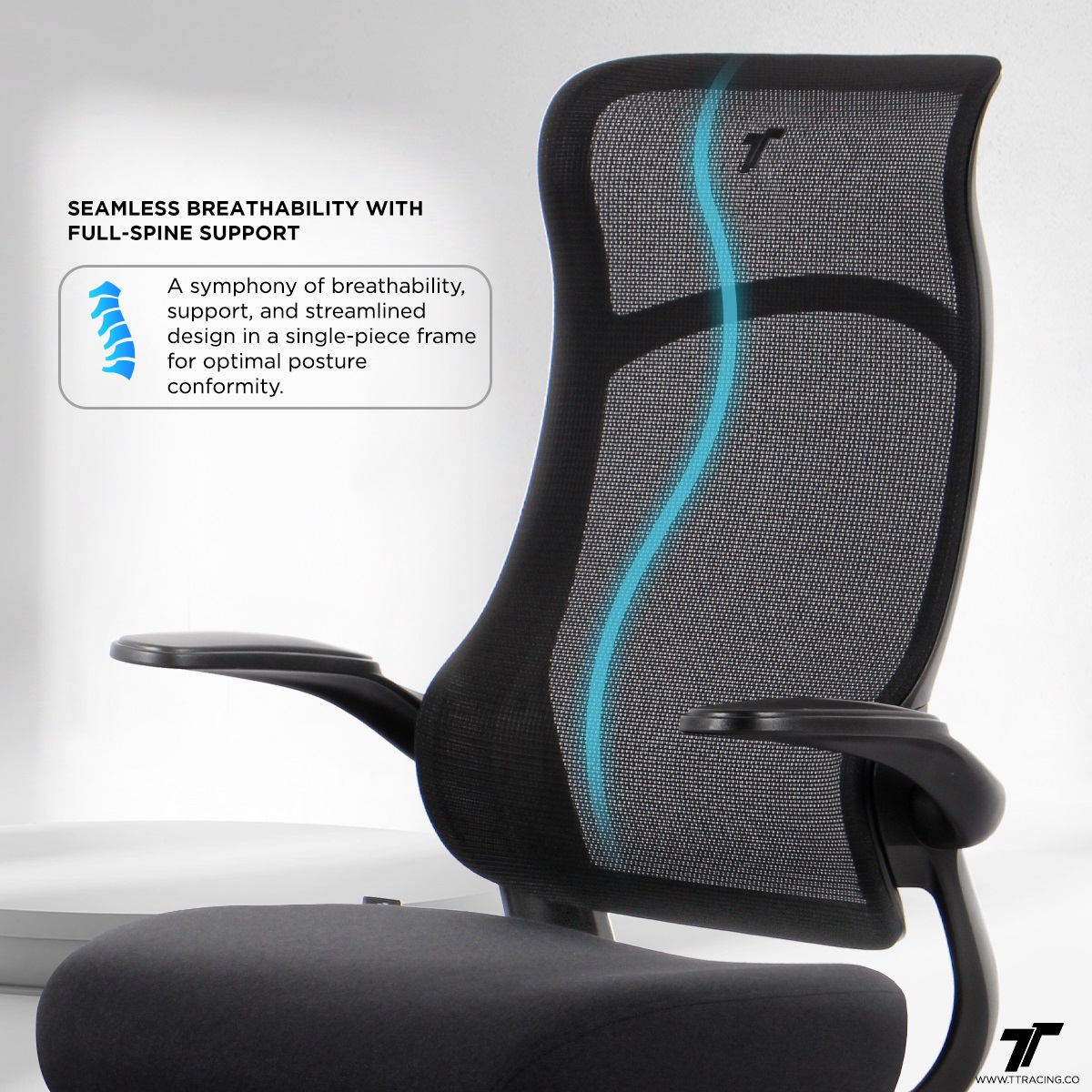 TT AIRFLEX Ergochair Mesh Office Chair Ergonomic Chair Kerusi Pejabat ...