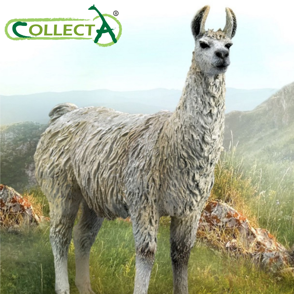 Llama - Collecta 88991 Farm Life Animal Action Figurine / Toy Figure ...