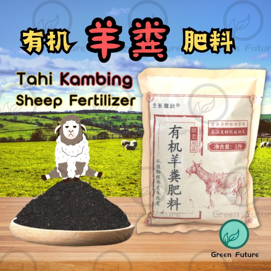 有机羊粪肥料 Tahi Kambing 有机植物肥料 有机肥 Baja Organik Tahi Kambing Organic Sheep Fertilizer Sheep Manure ...