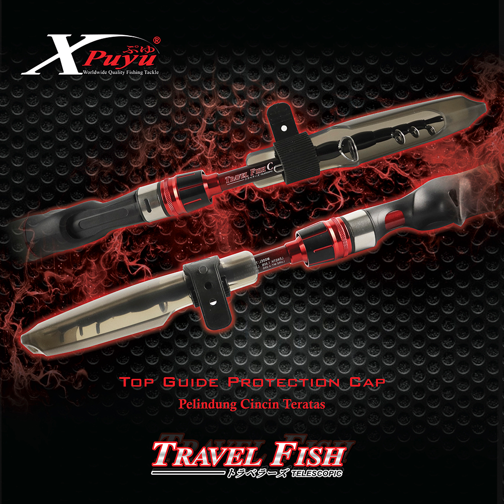 Xpuyu Travel Fish Fishing Rod Telescopic Portable Rod Spinning/Casting ...