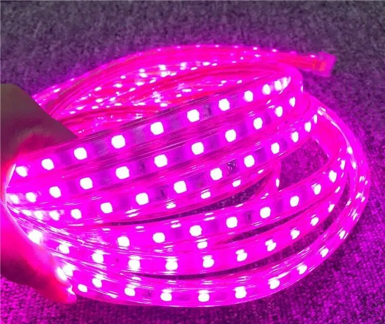 1-9M 240V Pink IP65 LED Strip Light With Double Side Tape 10CM Cuttable ...