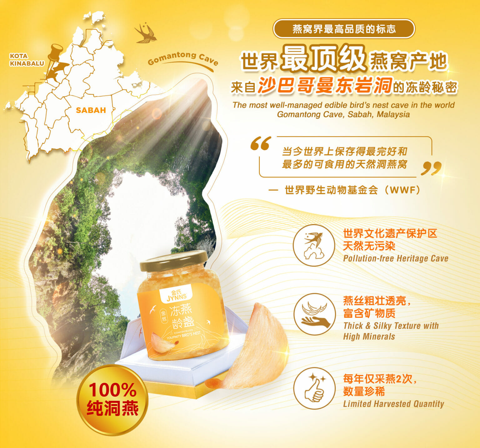 JYNNS Concentrated Youfinity Golden Cave Birds Nest 金氏金丝浓缩洞燕盏 (230g ...
