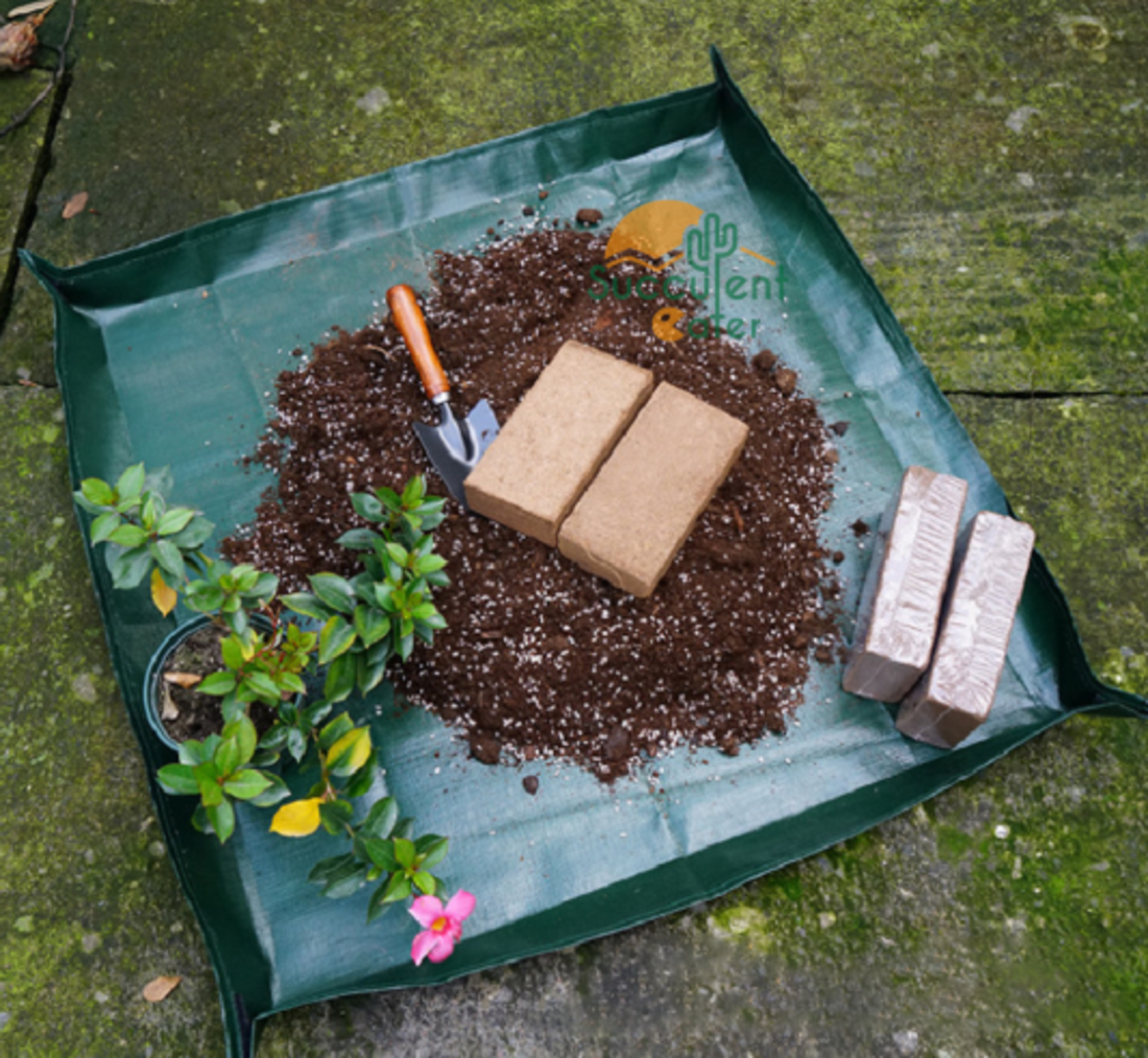 Planting Mat Waterproof Repotting Transplanting Succulent Cactus 园艺垫 ...