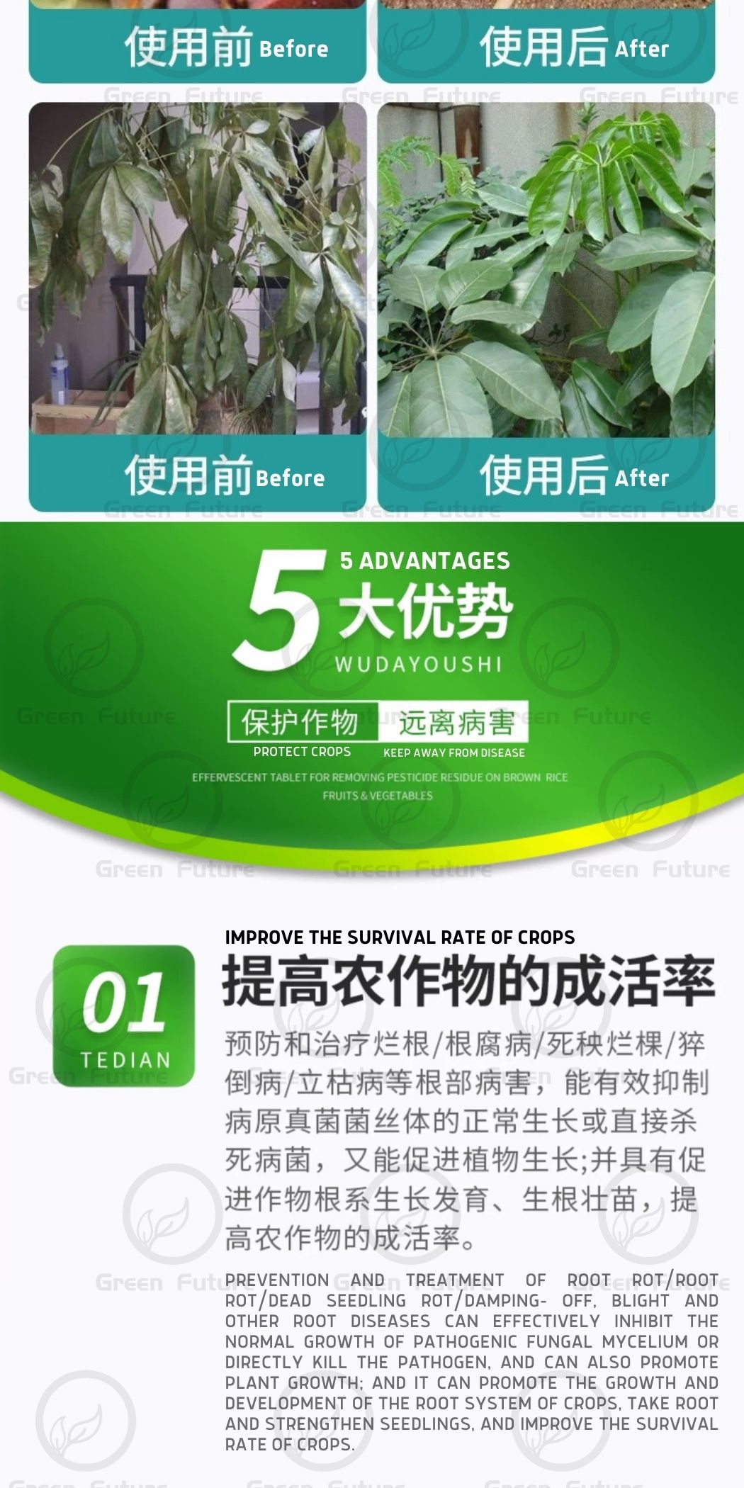 Beikeshi 枯萎烂根灵 急救腐叶枯细菌 Beikeshi Prevent and Treat Rotten Roots Liquid ...