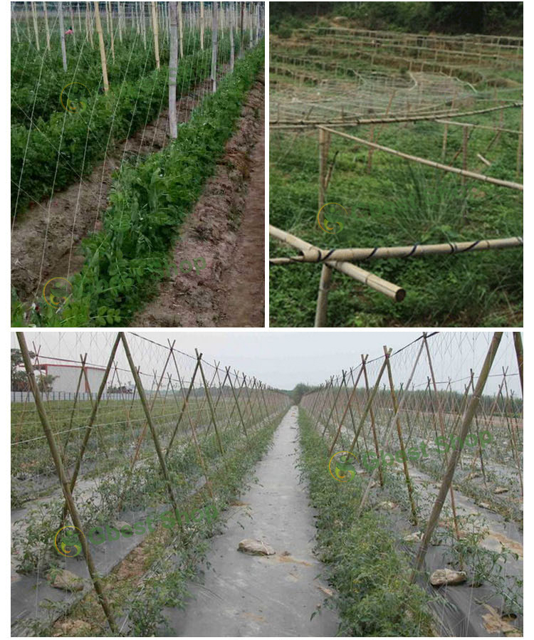 Melon Net Trellis Climbing Plants Support Garden Net Mesh Netting ...