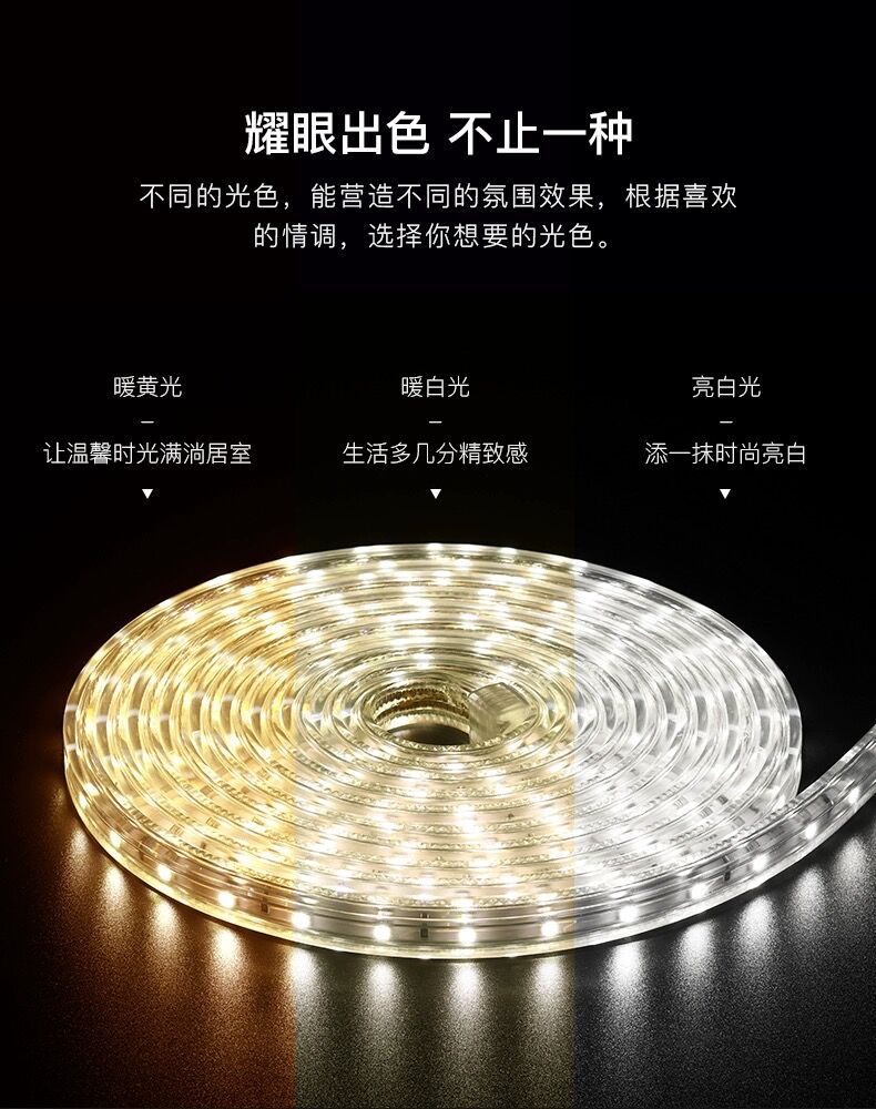 1-10M COD 🔥🇲🇾PROMO!!🔥240V 2 Row 3 Color LED Strip Light Warm White ...