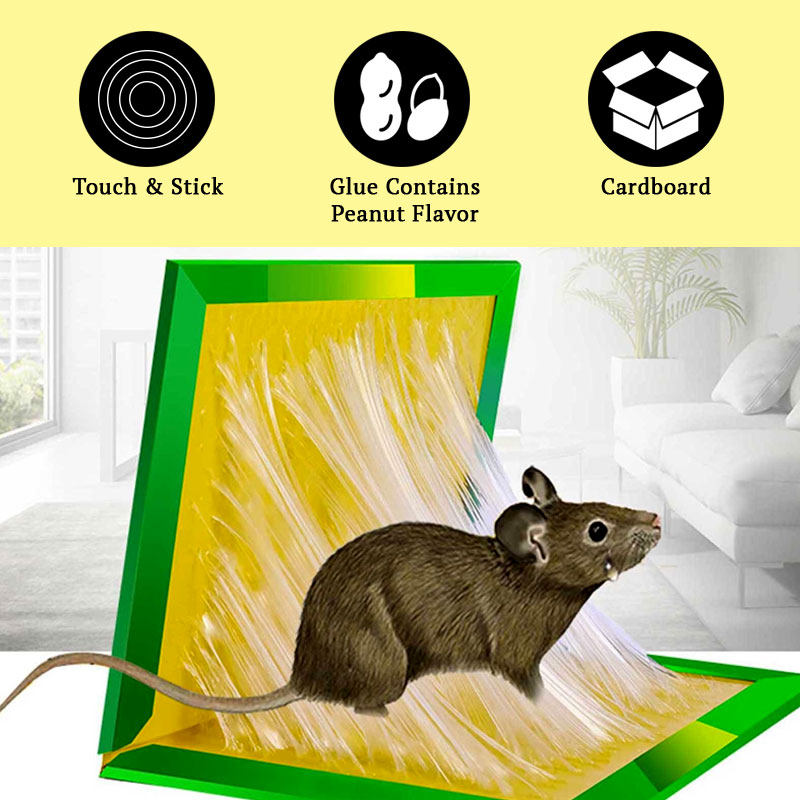 𝐍𝐎𝐍 𝐓𝐎𝐗𝐈𝐂 High Effective Mouse Glue Trap Strong Sticky Rodent Insects ...