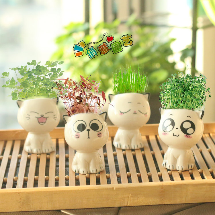 猫咪长草娃娃 Cat Grass Head Toy Planting for Children 儿童礼物 Grass Head Doll ...