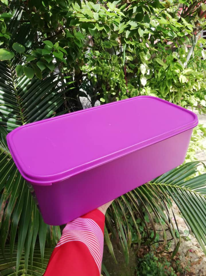 SUPER OFFER: Tupperware LEVEL Shallow Carry All 3.2L / Deep Carry All ...