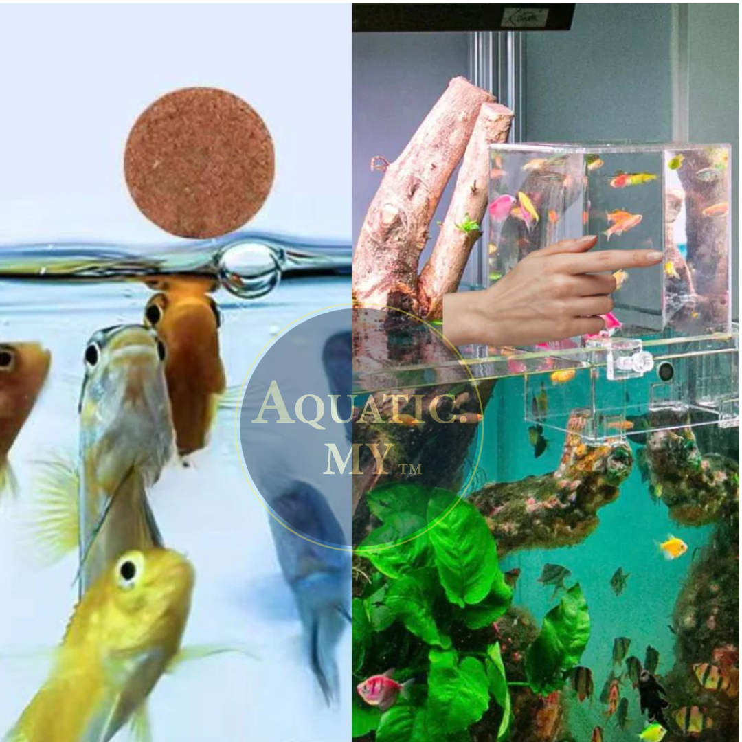 Negative Pressure Fish Tank Fish Elevator/ 鱼缸负压缸 / Tangki Ikan Tekanan ...