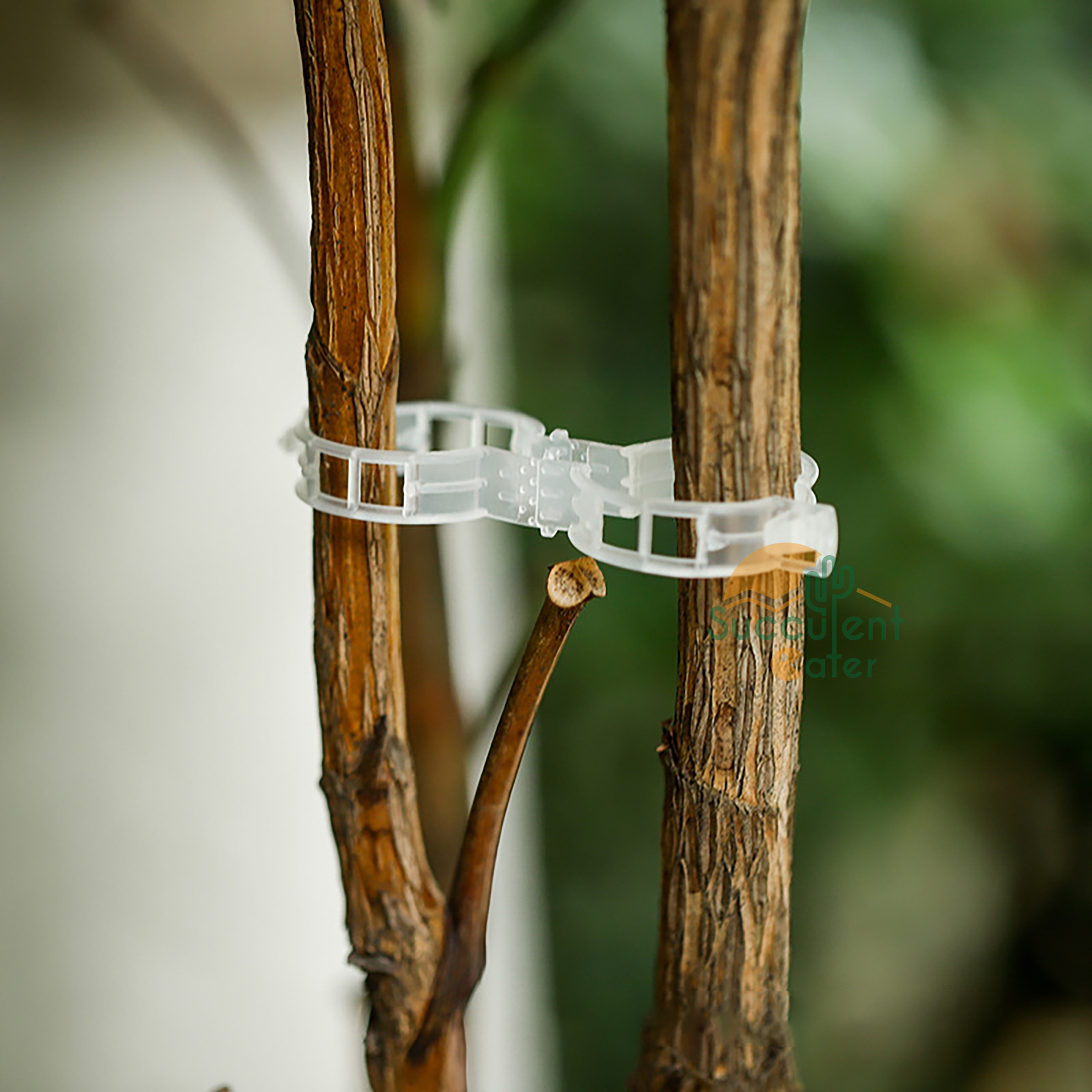 Garden Clip for Plant Flower Lever Loop Gripper Clips Fastener Flower ...