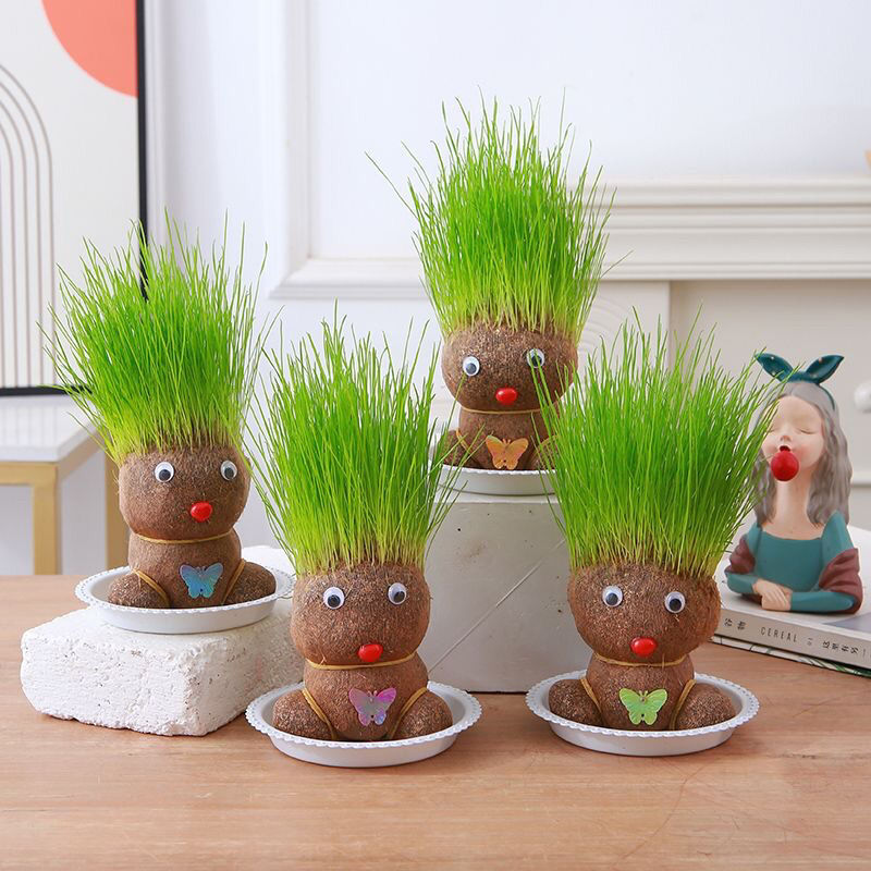 Craft Growing Grass Head Toy Planting for Children/Home/Office | Shopee ...