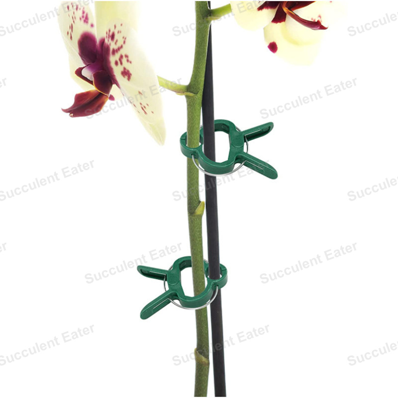 Garden Clip for Plant Flower Lever Loop Gripper Clips Fastener Flower ...
