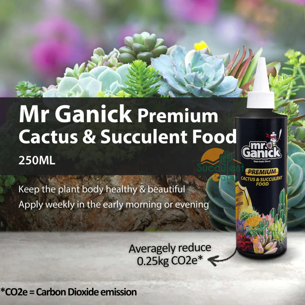 Baba Mr Ganick Cactus Succulent Food 20x Foliar Liquid Fertiliser ...