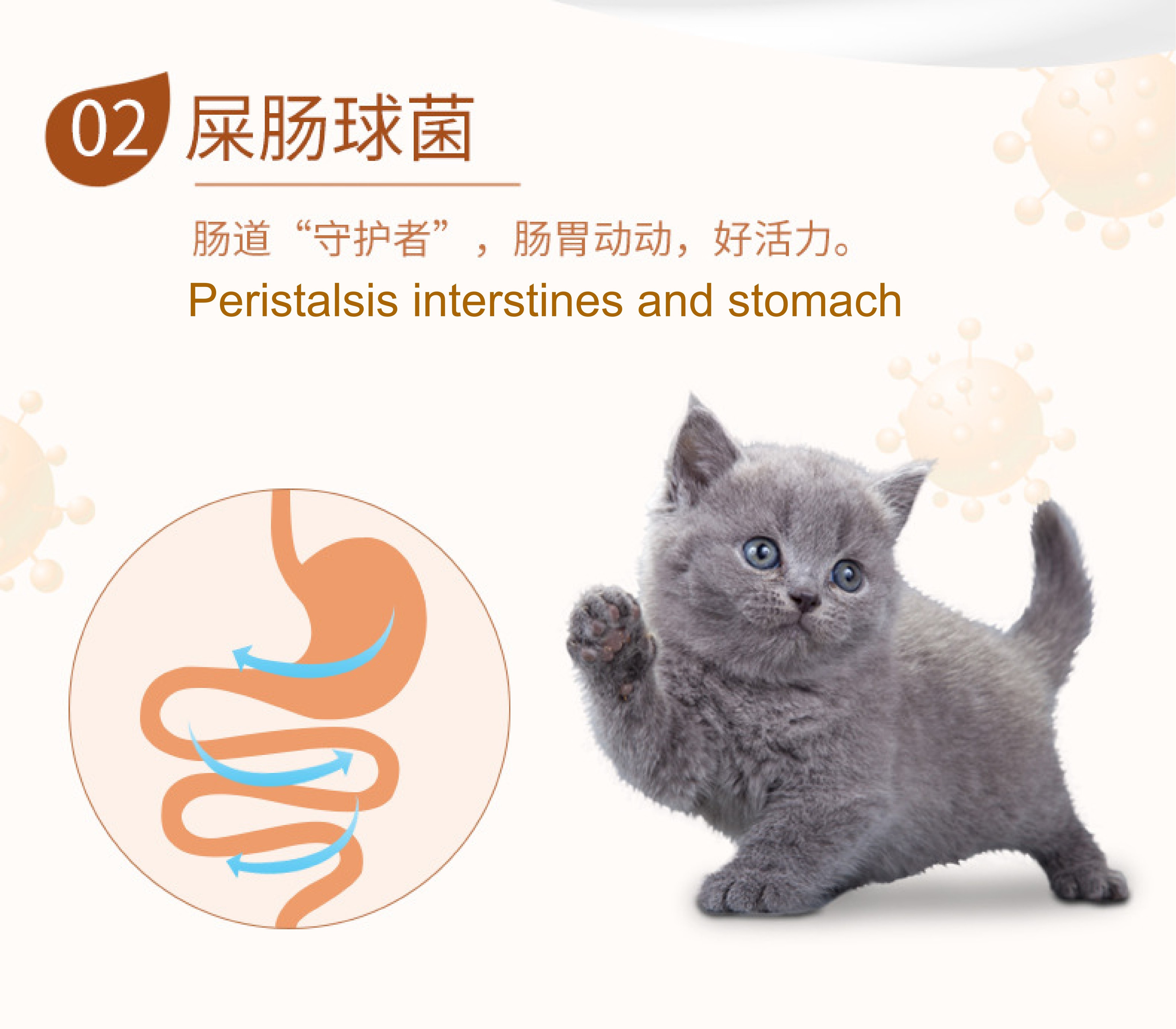 Cat Pudding /Both Goat Milk Pudding /Makanan Kucing /Cat snacks /Cat ...