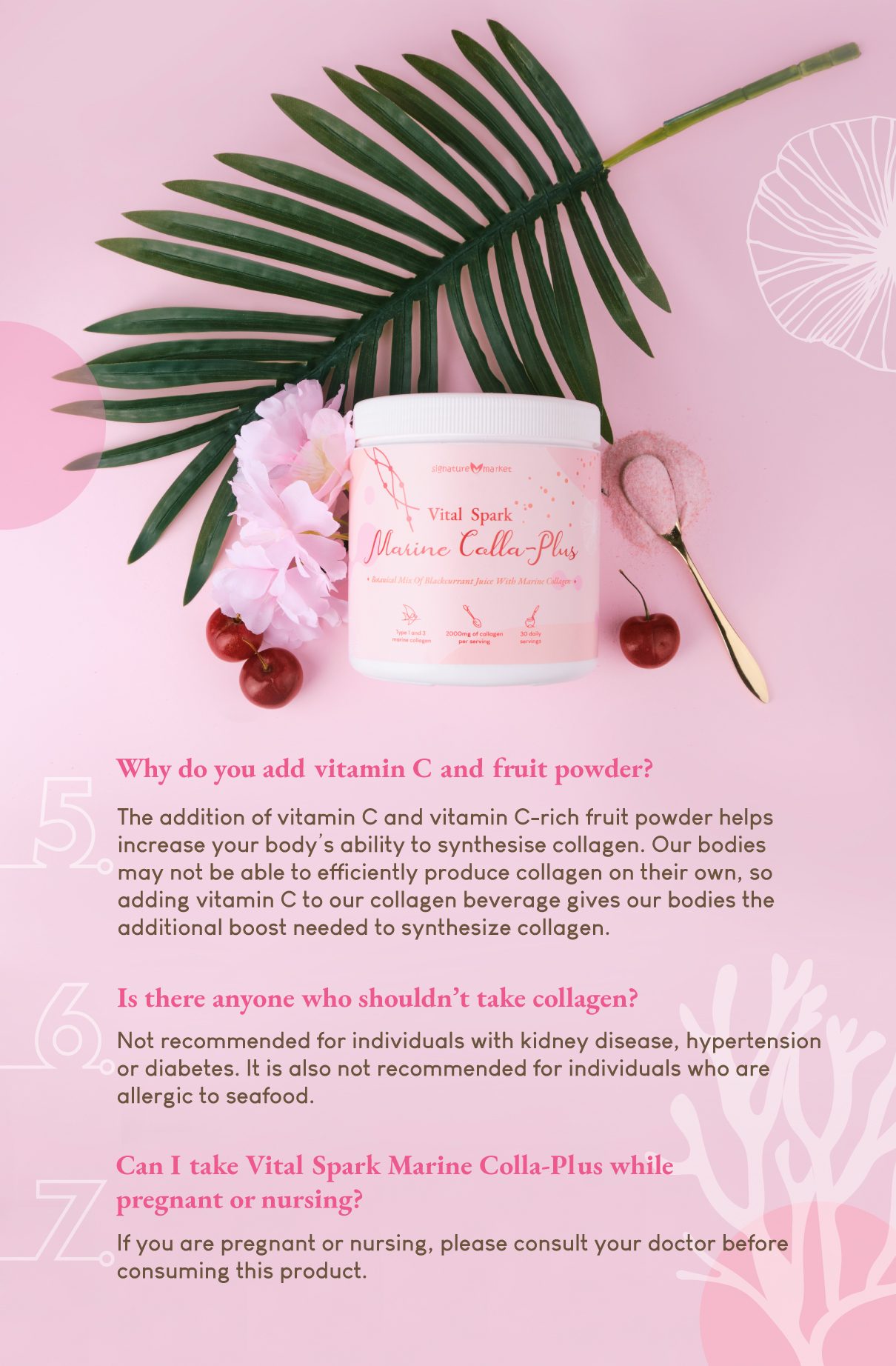 Signature Market Vital Spark Marine Colla-Plus (Collagen Powder, Skin ...