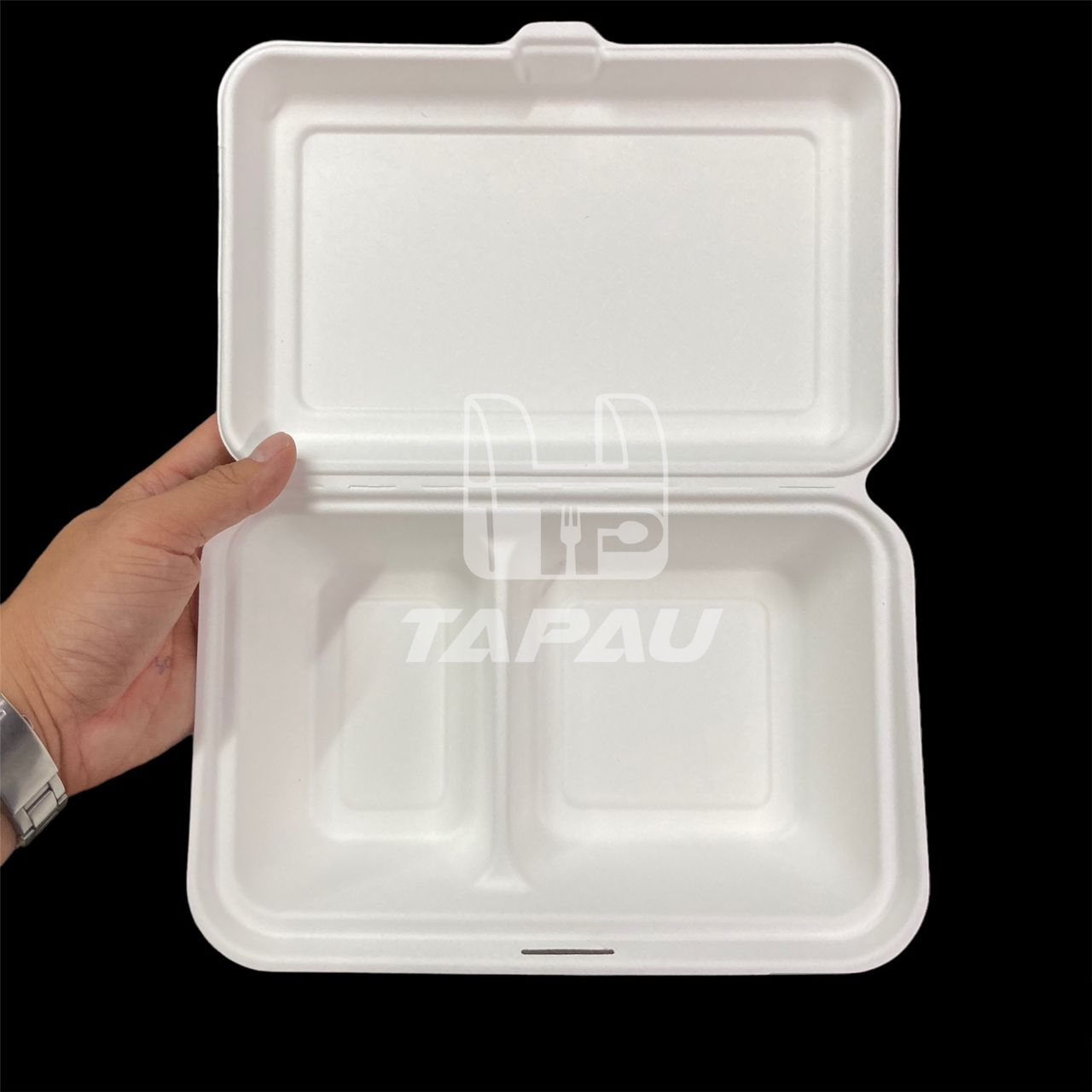 TAPAU - 2 Compartment Bagasse Lunch Box [ 50pcs+- ] / Biodegradable ...