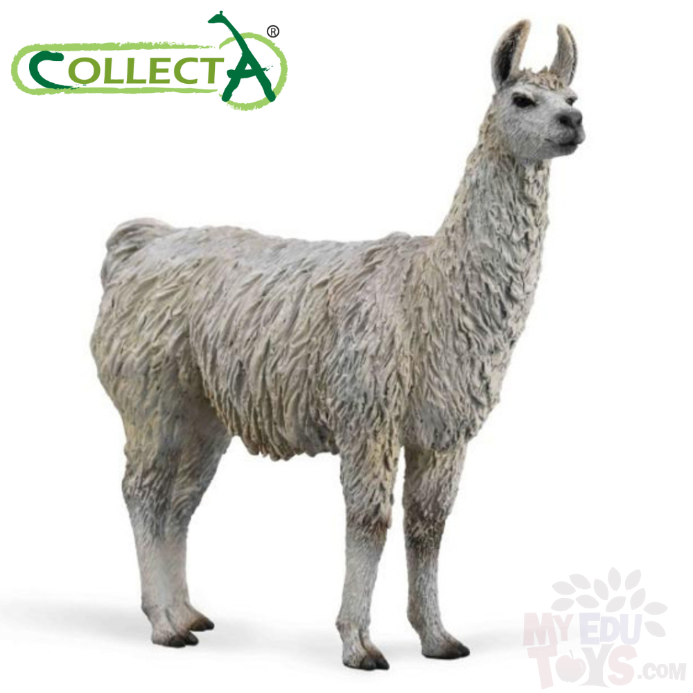 Llama - Collecta 88991 Farm Life Animal Action Figurine / Toy Figure ...