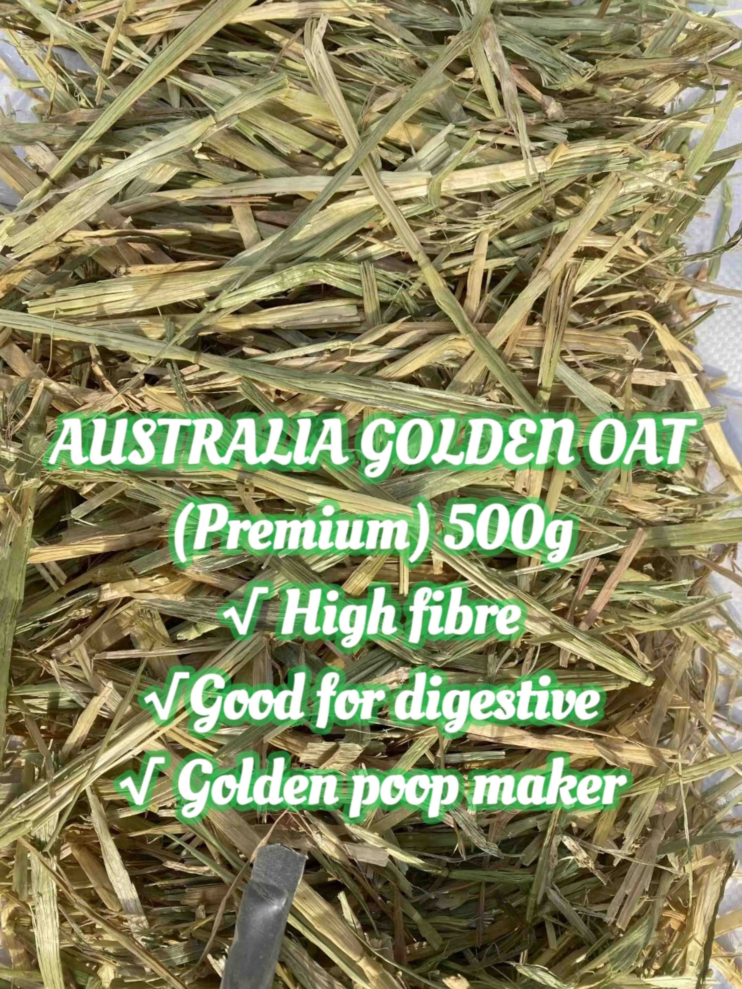 Australia Golden oat hay (Premium)500g Rabbit hay澳麦 Updated:8/4/2026 ...